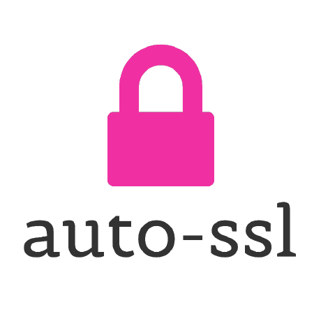Auto Ssl Github