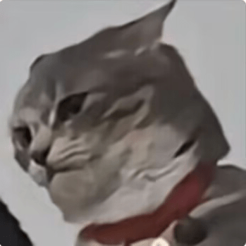 383486041 Wang Kai Github