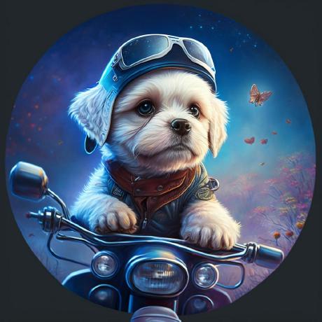 Dmytro1988 Dmytro Yaholnyk Github