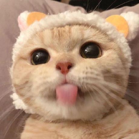 Maite Wang Joyce Github