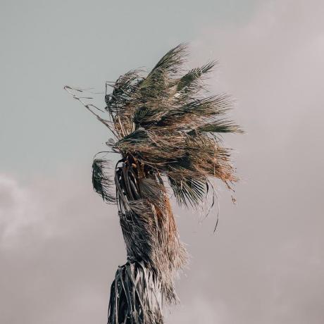 Adriaan Vdb Adriaan Vdb Github