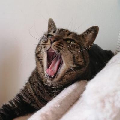 Shunya28 Shunya Ishikawa Github