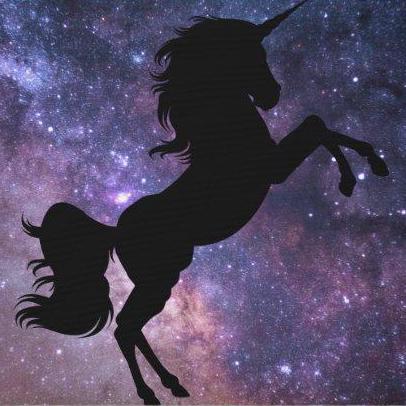 Unicorn Networks Github