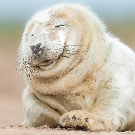 Yuan Xiaohan Xiaohan Yuan Github