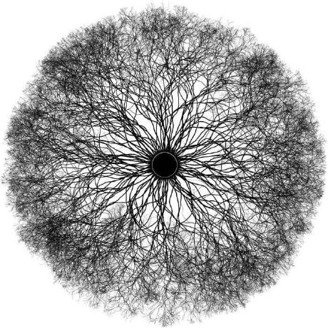 Simonefassio Simone Fassio Github - Nature Texture Collection - High Resolution Quality