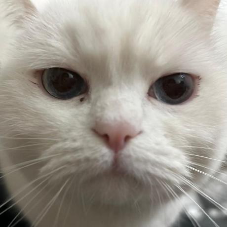 Equicord Documentation