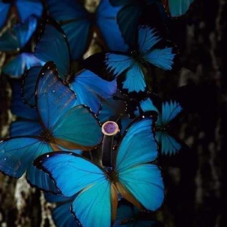 Menna15 Menna Ahmed Github