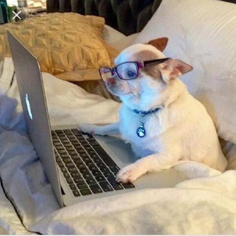 Gabriela Eduarda Github - HD City Photos for Desktop