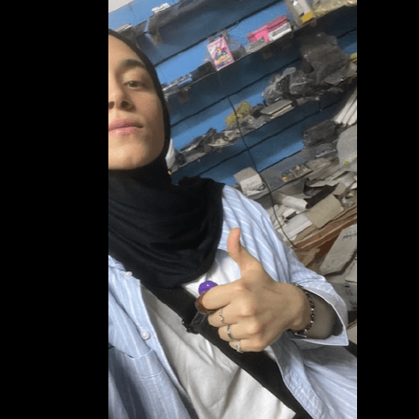 Mervat Khaled Mervat Khaled Github