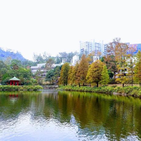 Wilson1155126366 Wilson Github