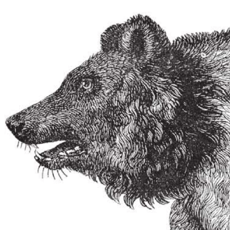 Wklimowicz Wojtek Klimowicz Github