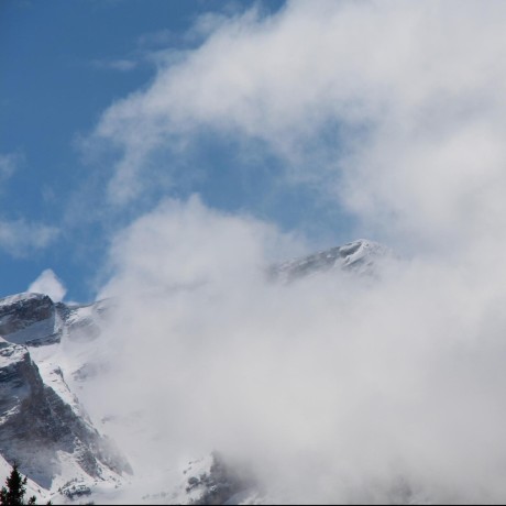 Moritzfs Moritz Fontboté Schmidt Github