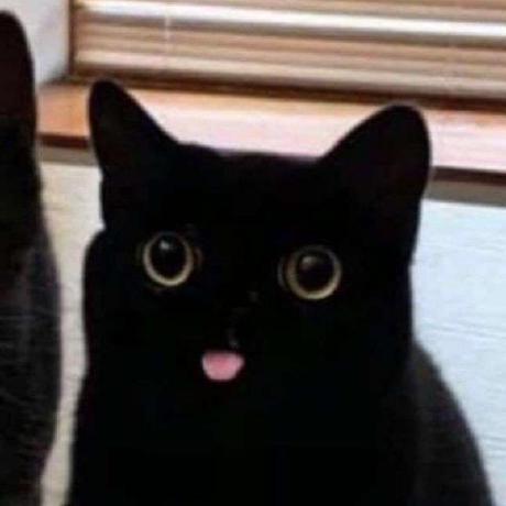 Xannix246 Albert Github