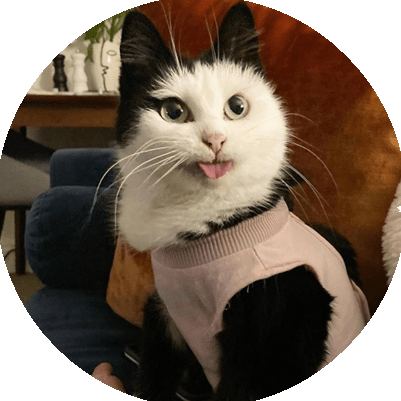 Vasiliymatlab Vasily Github