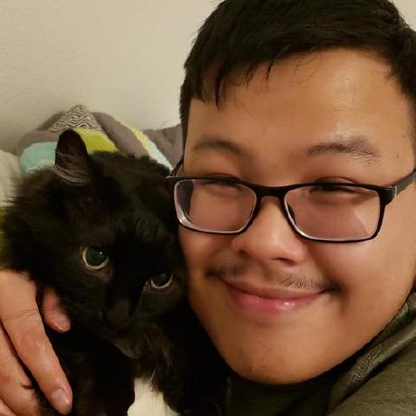 Quangmire Quang Duong Github