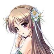 Xinshoujiajia Github