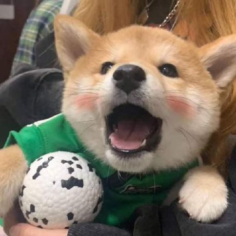 Dosser Cc Github - Download Perfect Light Pattern | Mobile