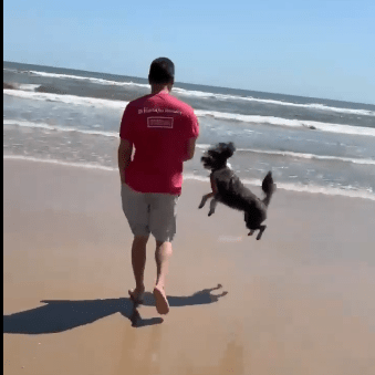 Kbohmatx Keith Bohm Github