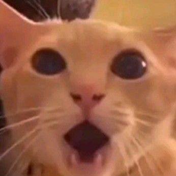 Srinivasan Sharan Sharan Github