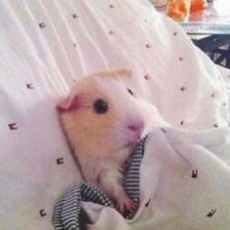 Github Kimhyeji React Proj - City Art Collection - Desktop Quality