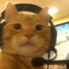 Yaman1337 Yaman Sarabariya Github