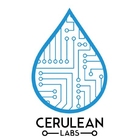 Cerulean Labs Github
