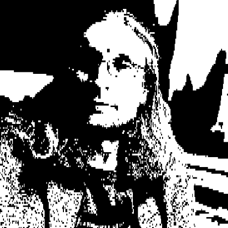 Petern Peter Nelson Github