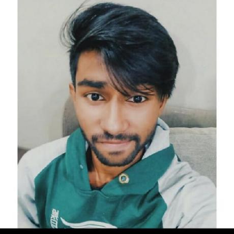 Ritvik Star Ritvik Github