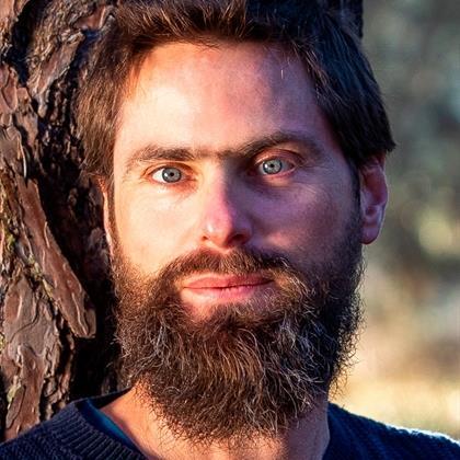 Sanderhollaar Sander Github