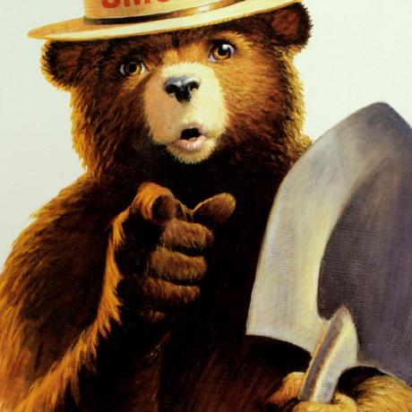 Den K Denis Kashirin Github