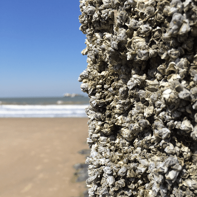 Alex Its Alex Github