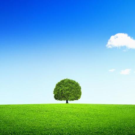 Vincent0423 Vincent Github