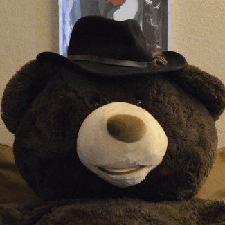 Poshcodebear The Powershell Bear Github
