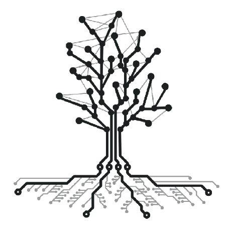 Shape Trees Github