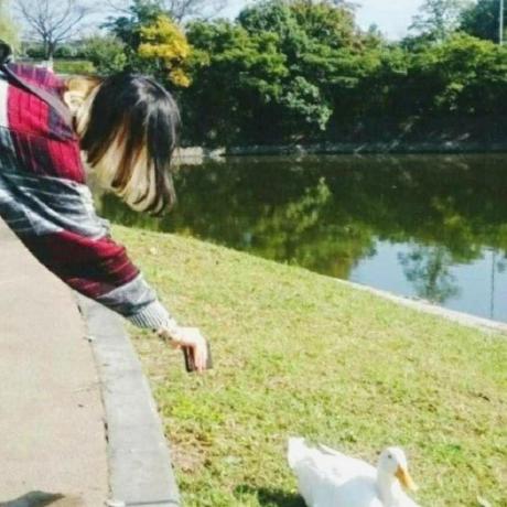 Longinyu Longlin Yu Github