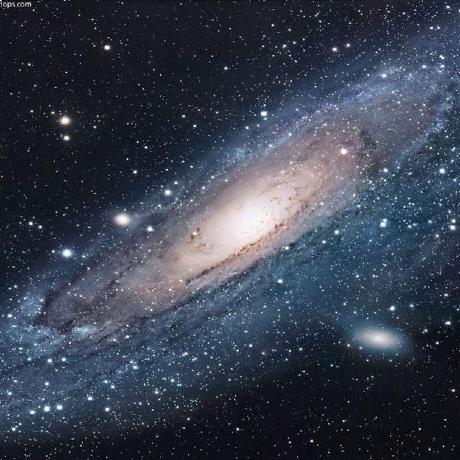 The Alexandria Foundation Github