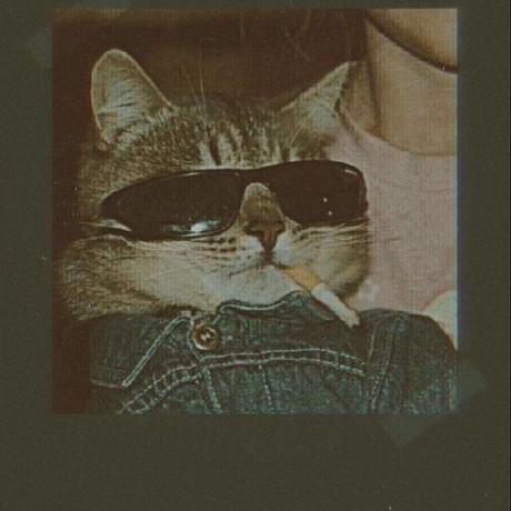 Sir Zech Naveen B Github