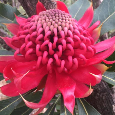 Naddison36 Nick Addison Github