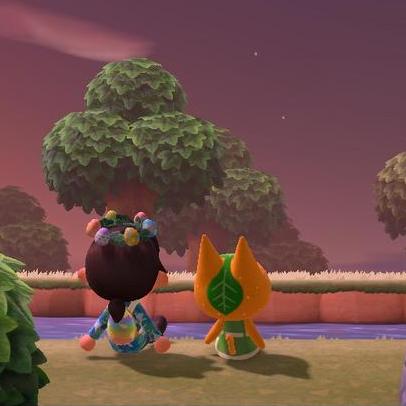 Inesmgraca Inês Graça Github