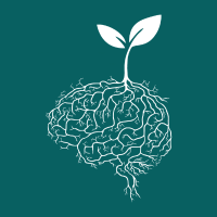 Wisdom Sprouts Github