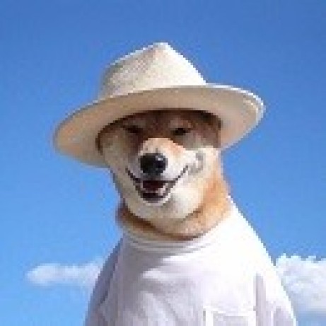 Wsdcoding Shiko Github