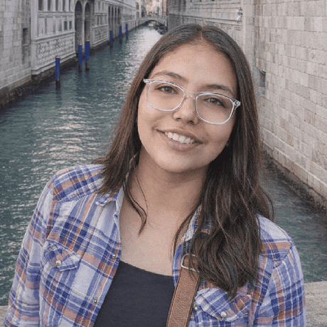 Ananyaiitbhilai Ananya Github