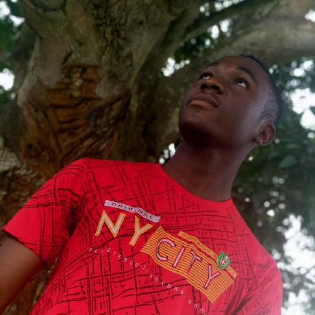 Devtimlas Timilehin Github