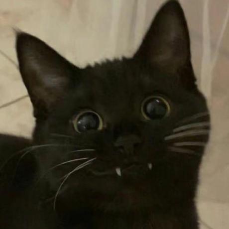 Ahtohfantom Anton Volkov Github