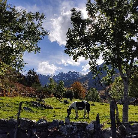 Borjez Borja Jiménez Alfaro Github