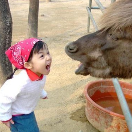 Github Privacyguides Privacyguides Org Protect Your Data Against