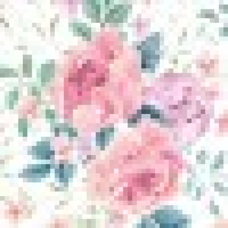 Desarrolloay Arely Mollo Github