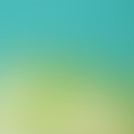 Tomeractionitem Tomer Danan Github