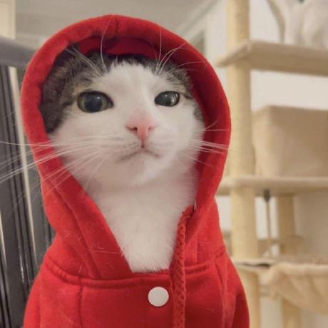 Utsavkumar 280 Utsav Kumar Github