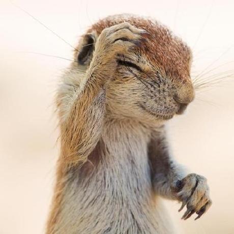 Jingquan Xie Jingquan Xie Github